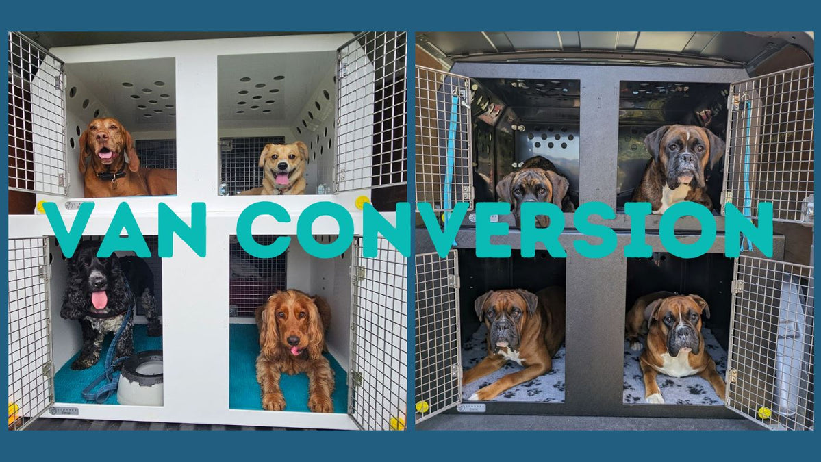 Dog Walking Van Conversion, the Perfect Solution! — DT BOXES