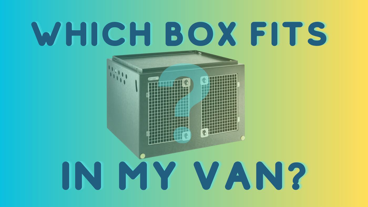 Van Guide: Which box fits in my Van? — DT BOXES