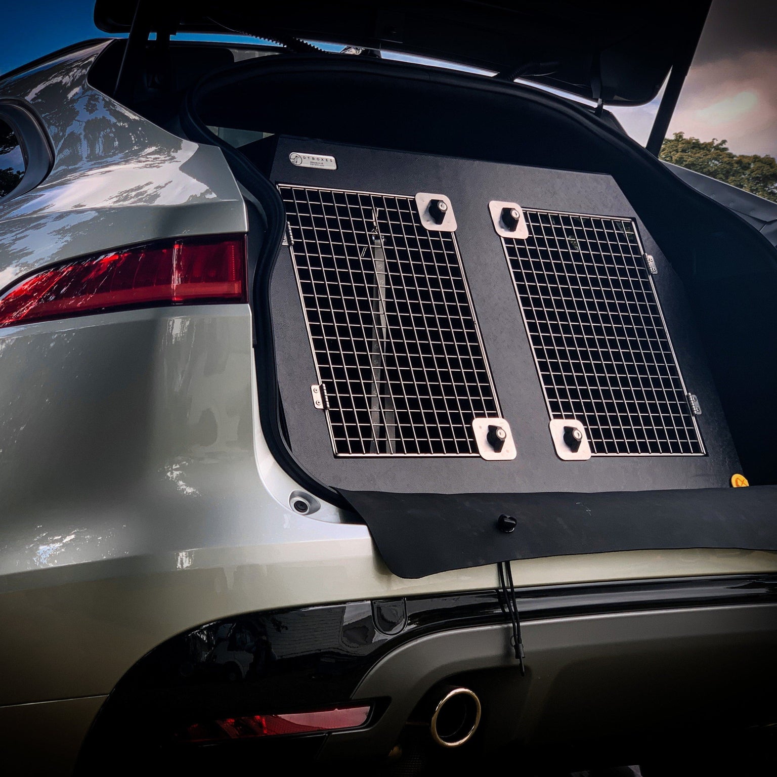 Dog Carriers By DT Boxes - Safe Secure & super tough — DT BOXES