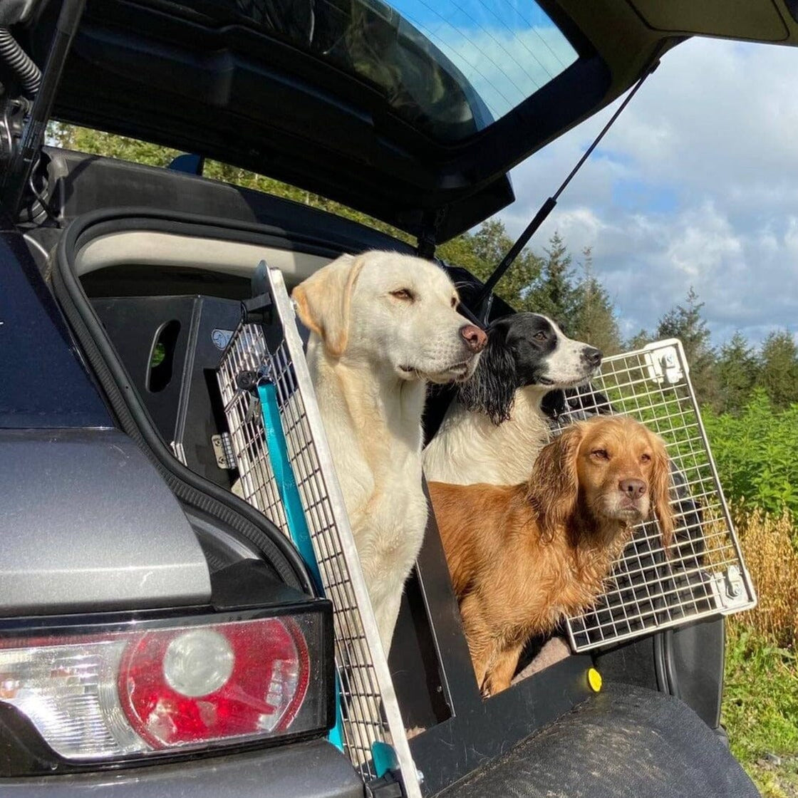 Kia Niro Dog Travel Crate 2022-Present: Safe and Secure Transportation for Your Pet — DT BOXES