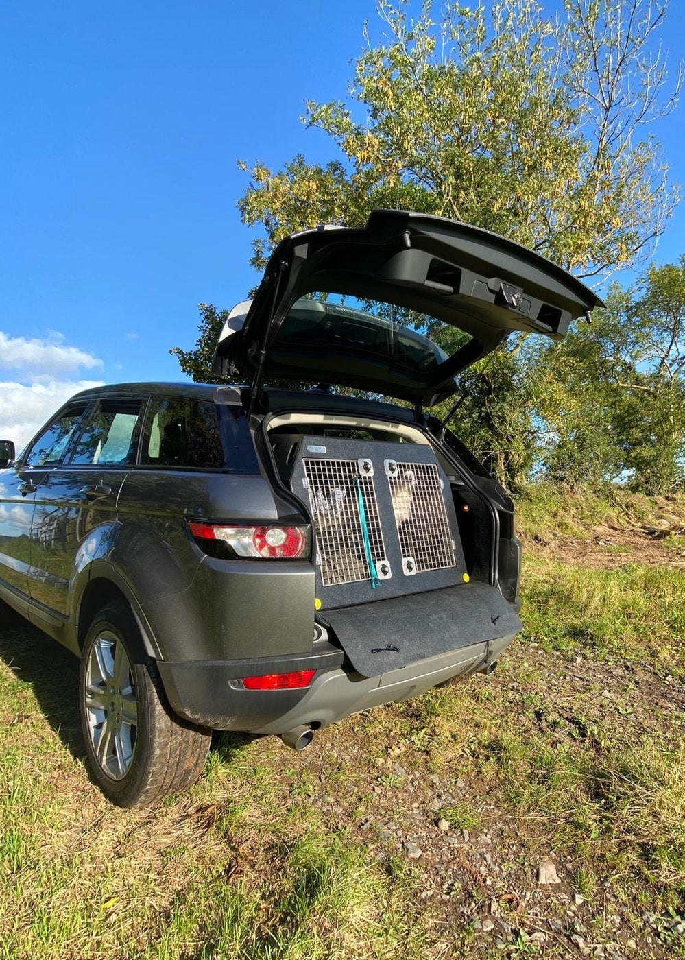 Subaru XV (2017 - Present) Transport Cage For Dogs For Sale — DT BOXES