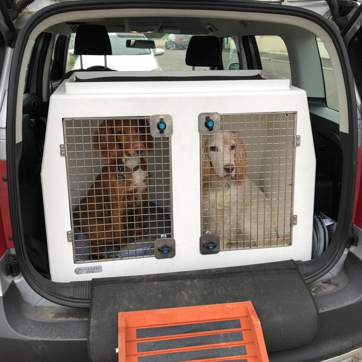 Volkswagen Tiguan 2021-Present Lowered Boot Dog Travel Box — DT BOXES