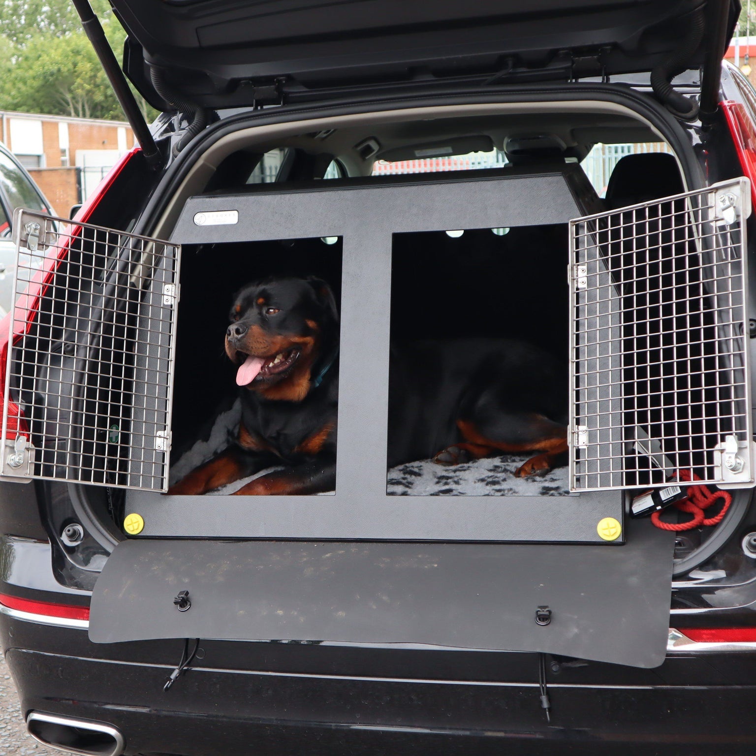 Dog Carriers By DT Boxes - Safe Secure & super tough — DT BOXES